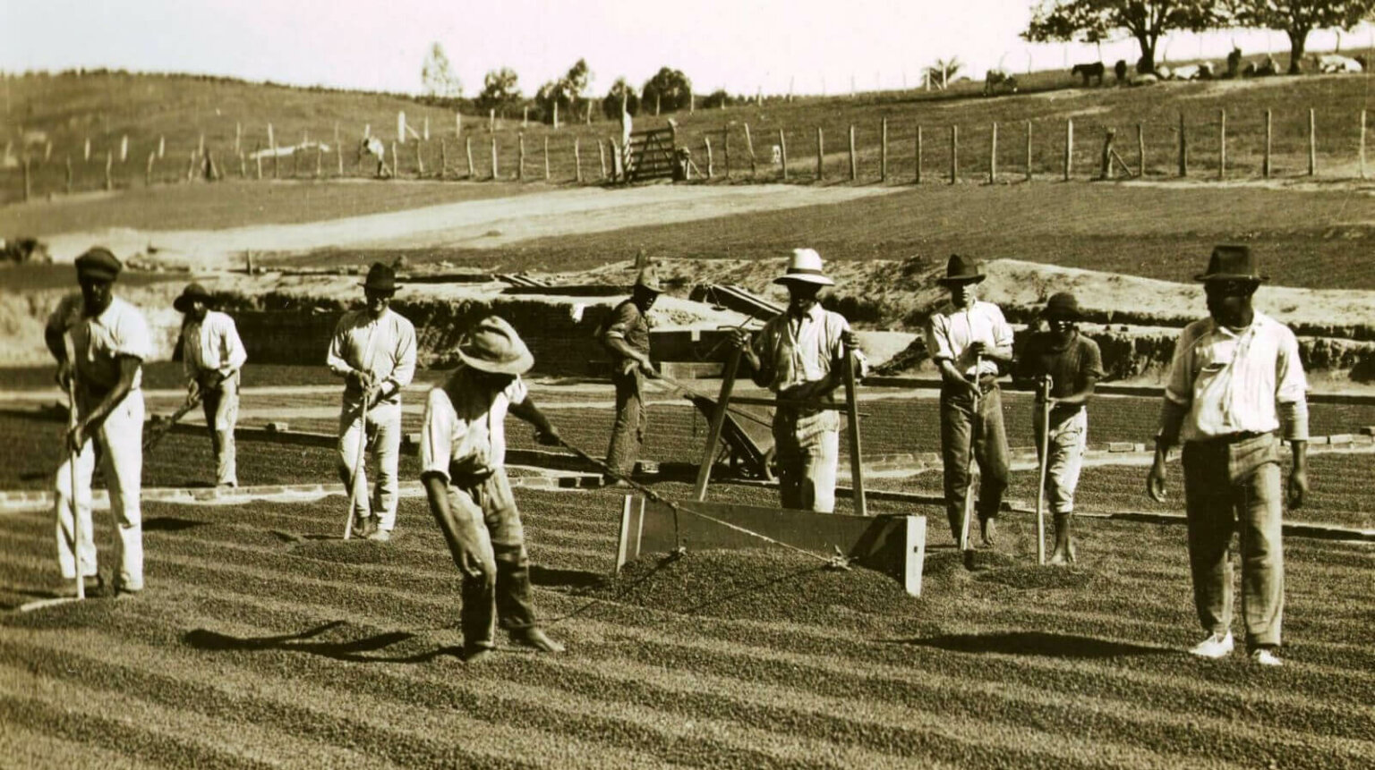 O trabalho assalariado no campo e as lutas sociais